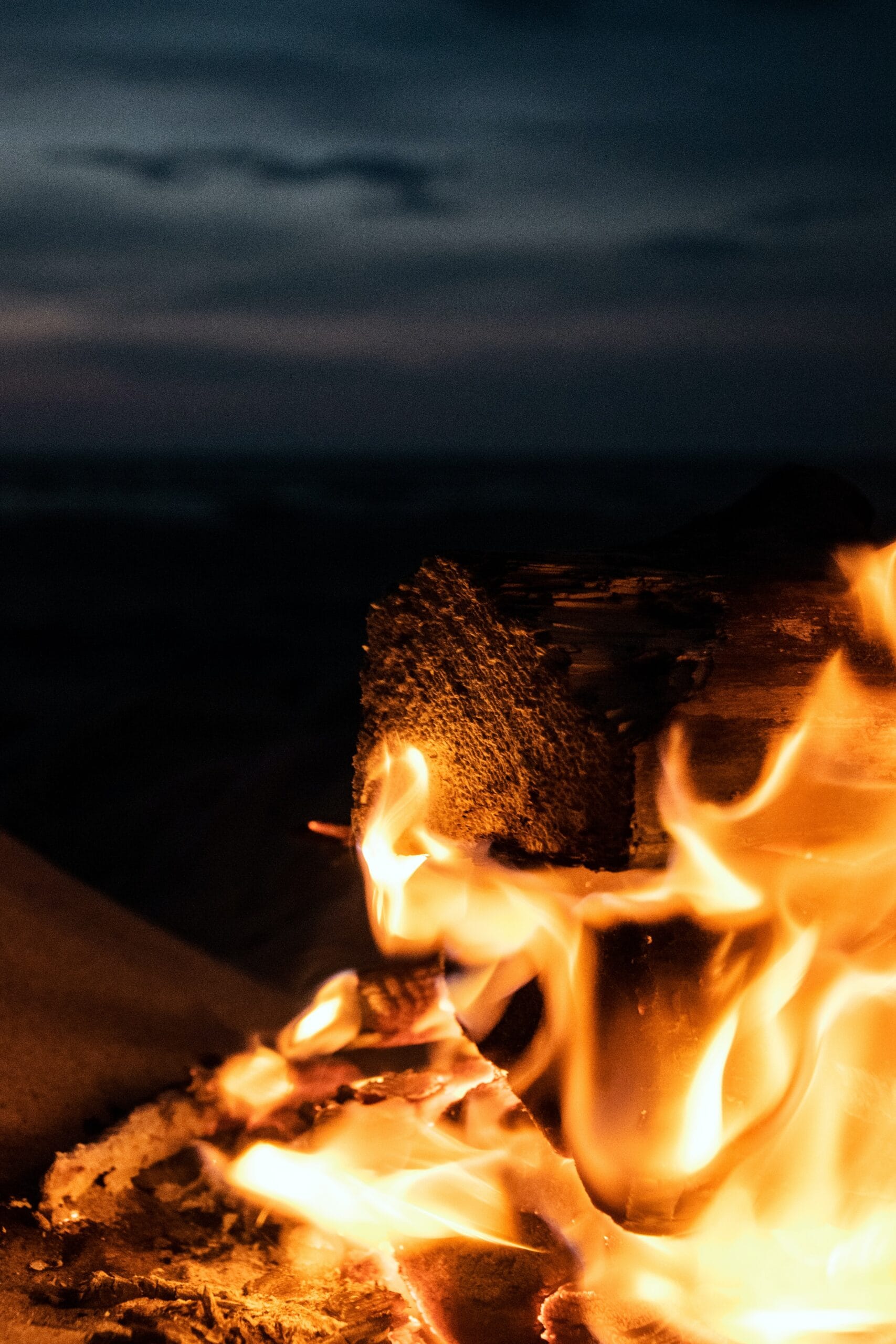 映画『劇場版 MOZU』西島秀俊 香川照之 ほか 全キャスト紹介 - 映画キャスト wiki